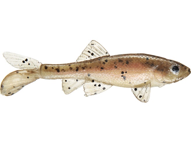Little Creeper All American Trash Fish Swimbaits 2pk | Tackle Warehouse