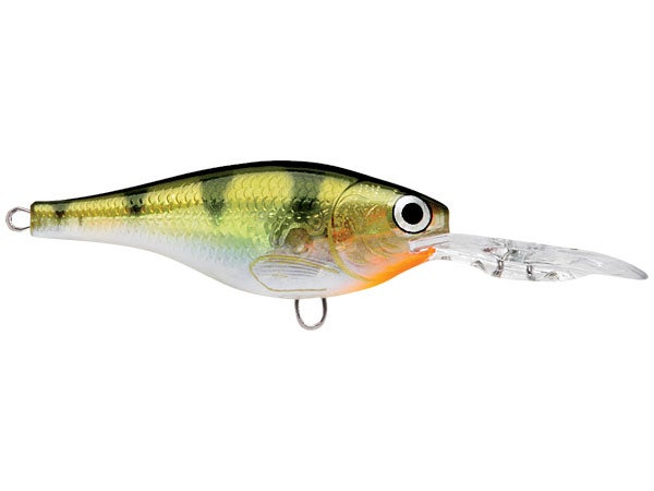 Rapala DT10 Series Crankbaits | Tackle Warehouse