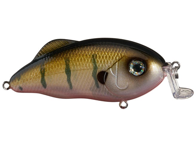 Strike King Salt Water Hybrid Hunter Shallow | Tackle Warehouse