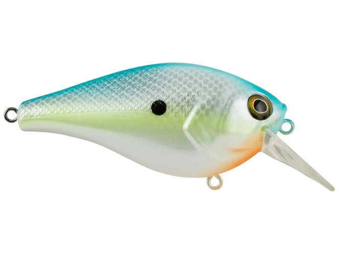 Squarebill Crankbait Gear Guide | Tackle Warehouse