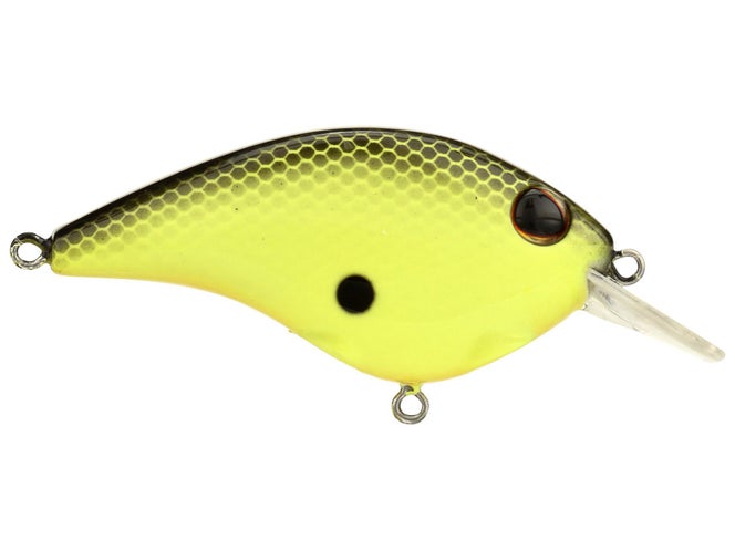 Berkley Squarebull 3.5 Crankbait | Tackle Warehouse