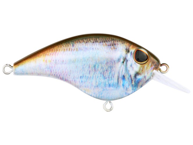 Berkley Clickin' Frittside 5 Crankbait - Tackle Warehouse