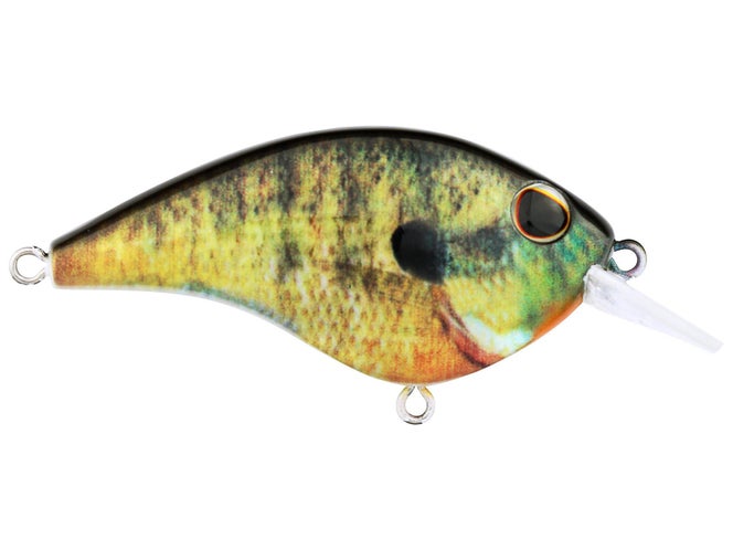 Berkley Frittside 5 Biggun Crankbait - Tackle Warehouse