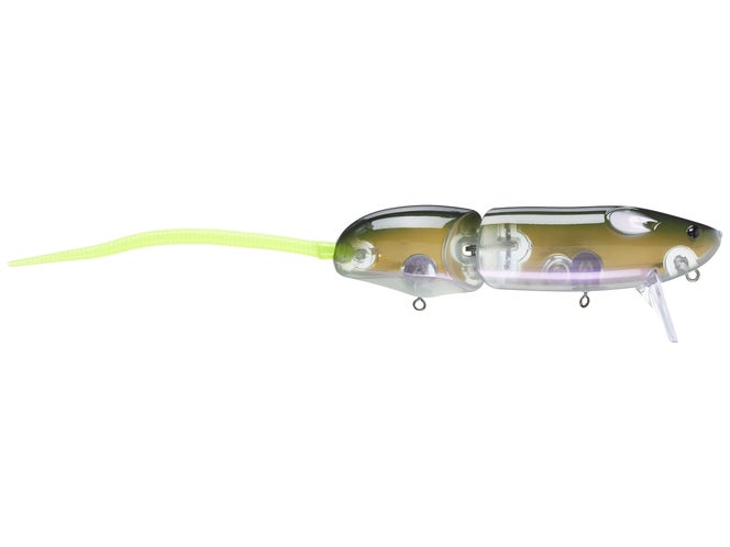 Rat Baits Gear Guide | Tackle Warehouse