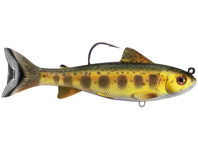 LIVETARGET Yellow Perch Swimbait | Tackle Warehouse