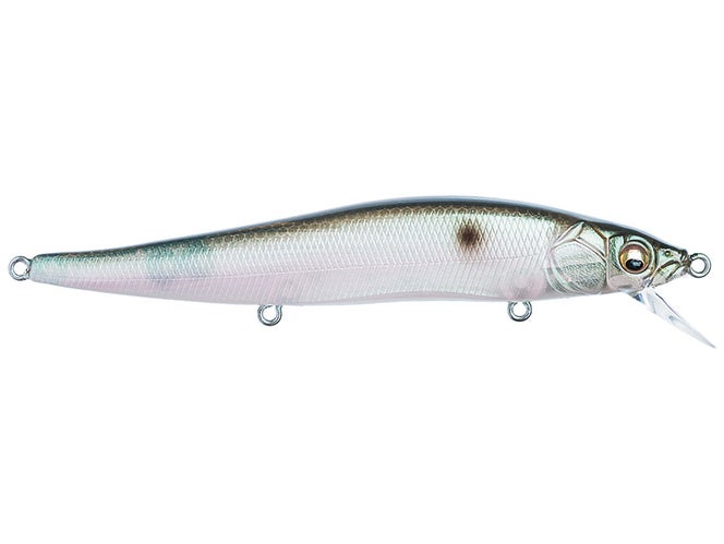 Megabass X-70 BFS Jerkbait | Tackle Warehouse
