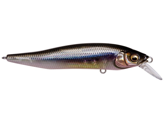 Megabass X-70 BFS Jerkbait | Tackle Warehouse