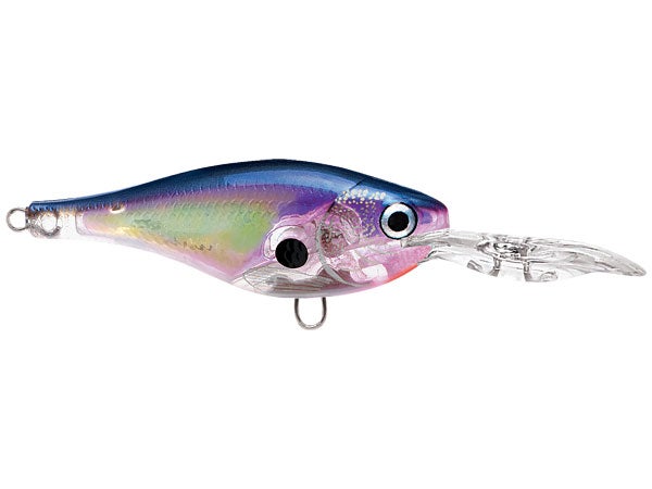 Rapala DT6 Series Crankbaits - Tackle Warehouse