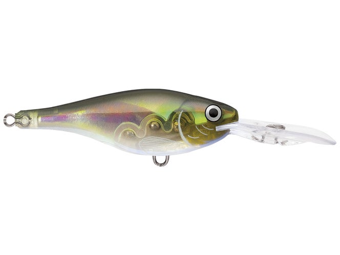Rapala DT6 Series Crankbaits - Tackle Warehouse