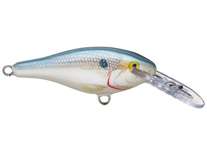 Rapala Shad Rap 5 Crankbaits - Tackle Warehouse