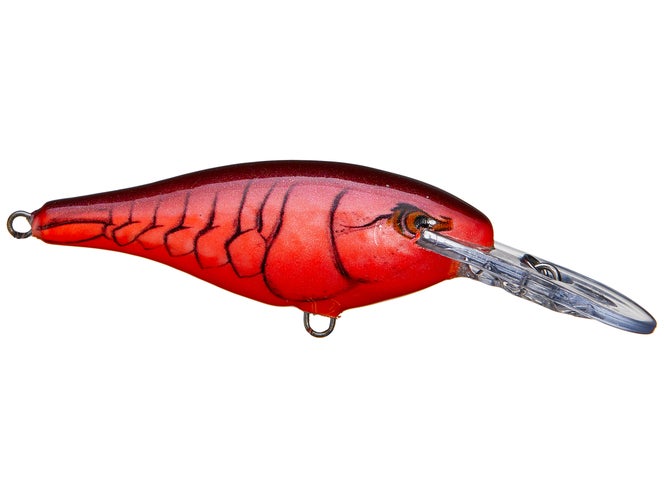Rapala Shad Rap 5 Crankbaits - Tackle Warehouse