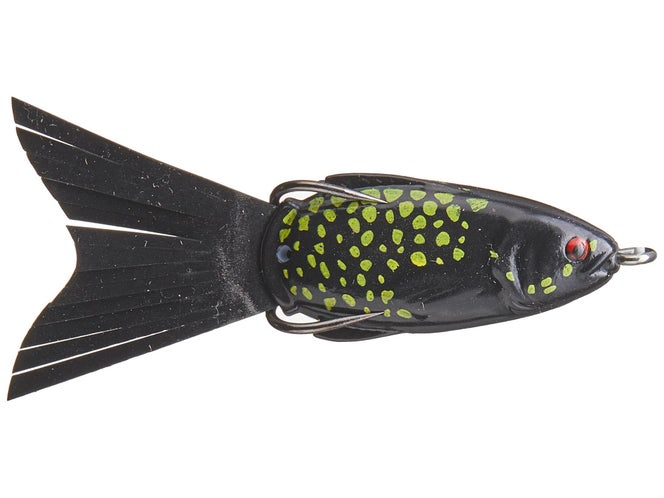 Strike King Kvd Sexy Frog Tackle Warehouse
