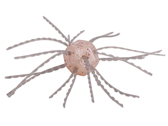 Dice Baits Gear Guide | Tackle Warehouse