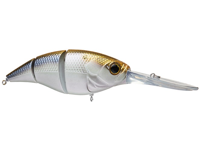Deep-Diving Crankbaits Gear Guide | Tackle Warehouse