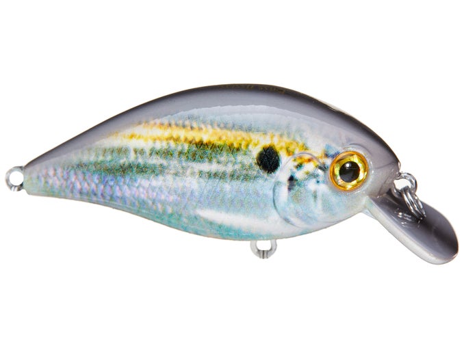 Square Bill Medium Diving Crankbaits - Tackle Warehouse