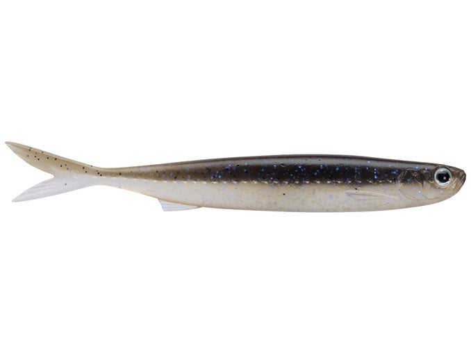 Evergreen International - Tackle Warehouse