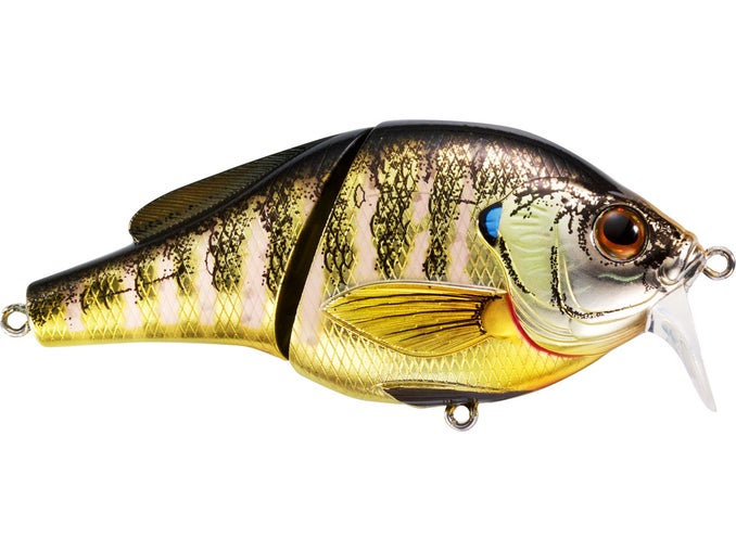 LIVETARGET - Tackle Warehouse