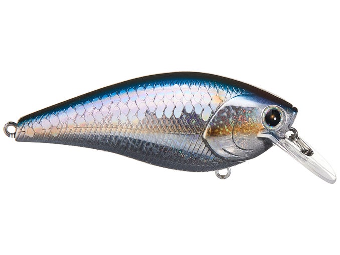 Shallow Diving Crankbaits (5' or less) - Tackle Warehouse