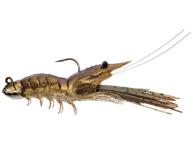 LIVETARGET Baits - Tackle Warehouse