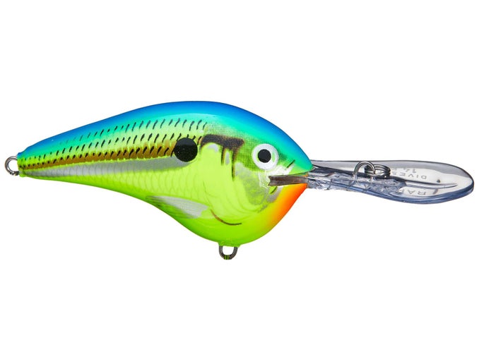 Clearance Medium Diving Crankbaits - Tackle Warehouse