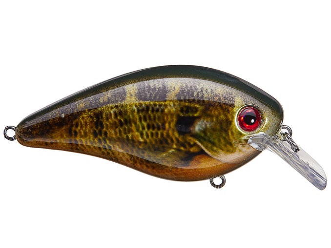 Square Bill Medium Diving Crankbaits - Tackle Warehouse