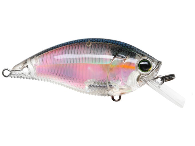 Clearance Shallow Diving Crankbaits - Tackle Warehouse