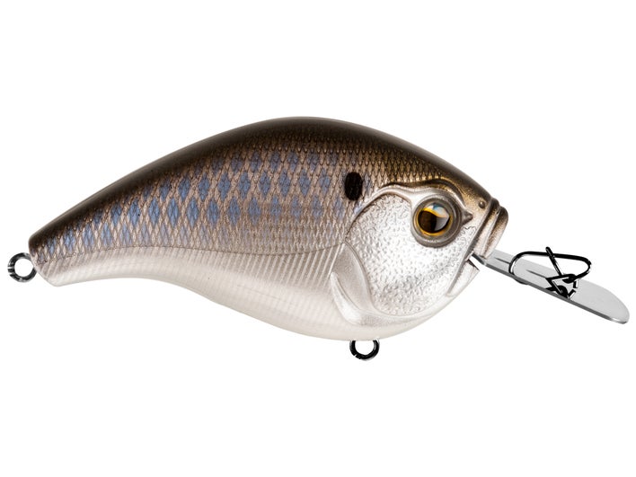 Clearance Shallow Diving Crankbaits - Tackle Warehouse