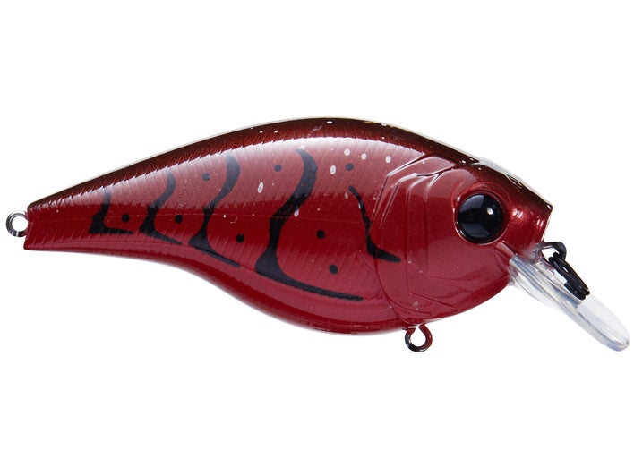 Medium Diving Crankbaits (6-10') - Tackle Warehouse