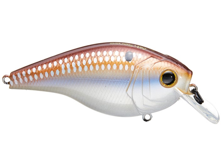 Square Bill Medium Diving Crankbaits - Tackle Warehouse