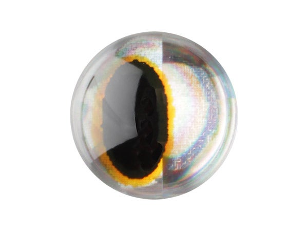 Fishing Lure Eyes - Tackle Warehouse