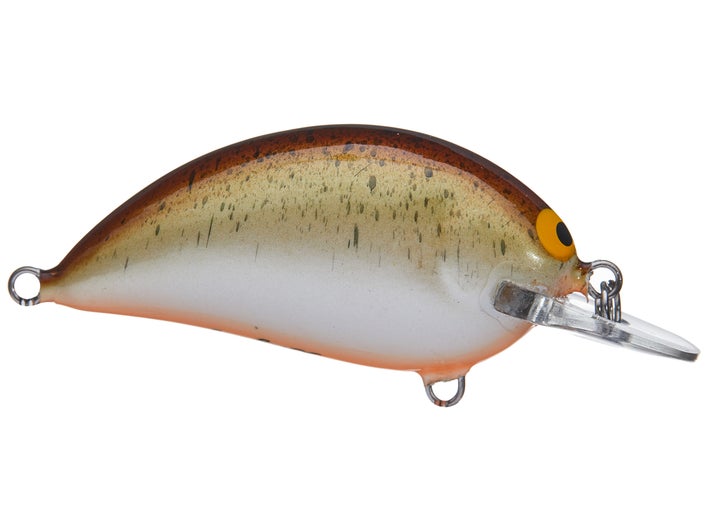 Clearance Shallow Diving Crankbaits - Tackle Warehouse