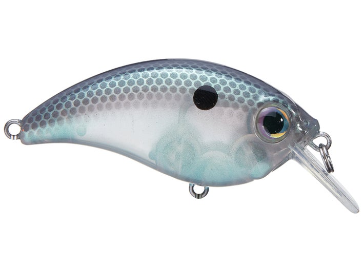 Clearance Shallow Diving Crankbaits - Tackle Warehouse