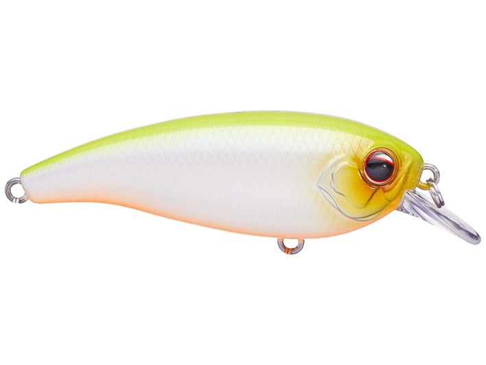 New JDM Tackle - Tackle Warehouse