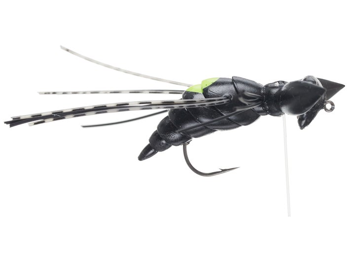 Insects - Tackle Warehouse