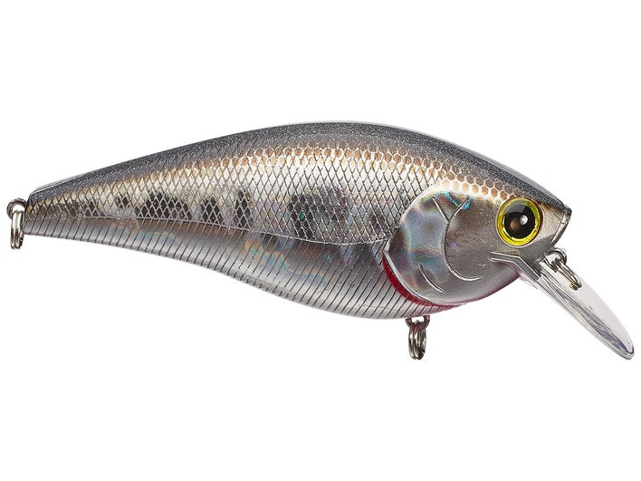 Clearance Shallow Diving Crankbaits - Tackle Warehouse