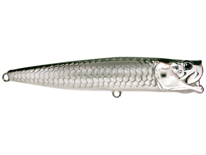 Molix Baits - Tackle Warehouse