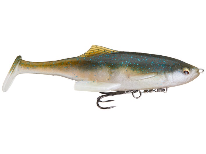 Owner - Tackle Warehouse