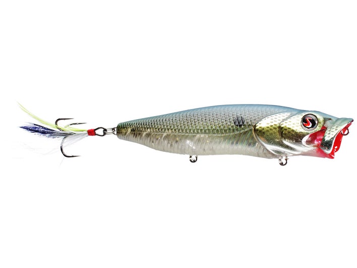 River2Sea - Tackle Warehouse