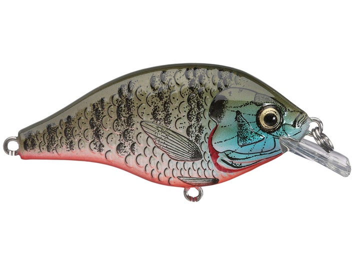 Rebel Lures - Tackle Warehouse