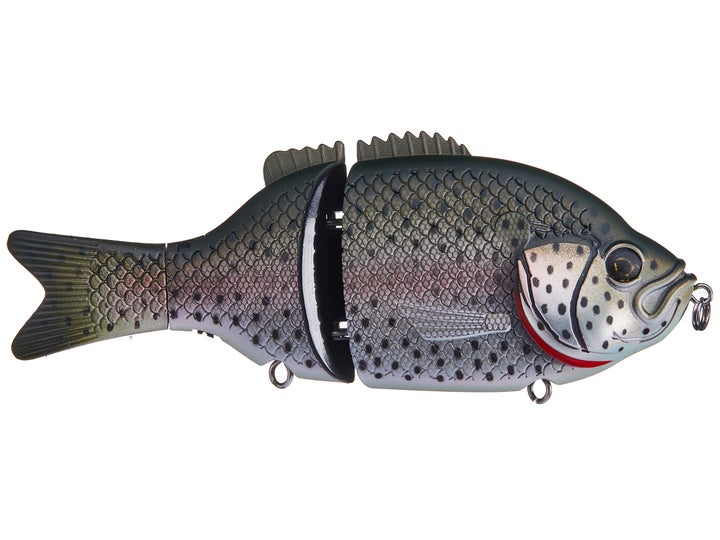 Baitsanity - Tackle Warehouse