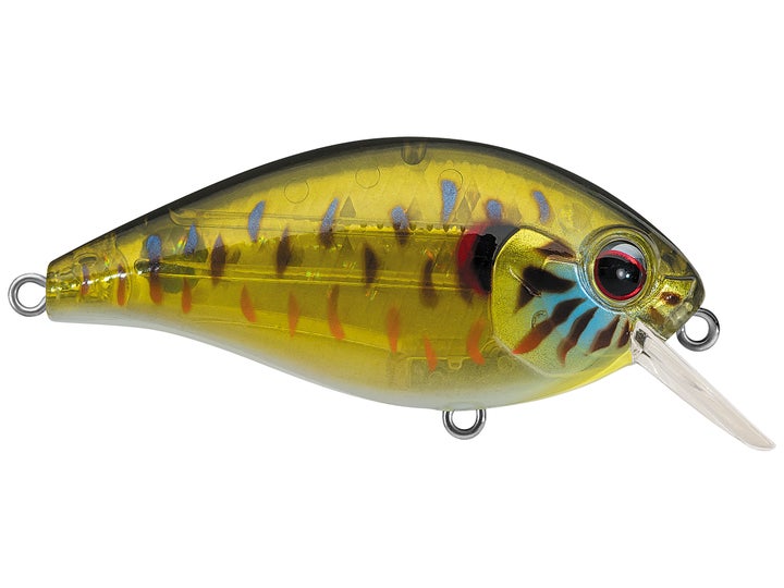 Shallow Diving Crankbaits (5' or less) - Tackle Warehouse