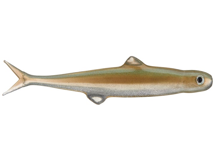 Baitfish & Minnows - Tackle Warehouse