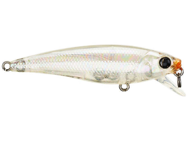 Owner - Tackle Warehouse