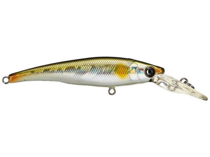Owner - Tackle Warehouse