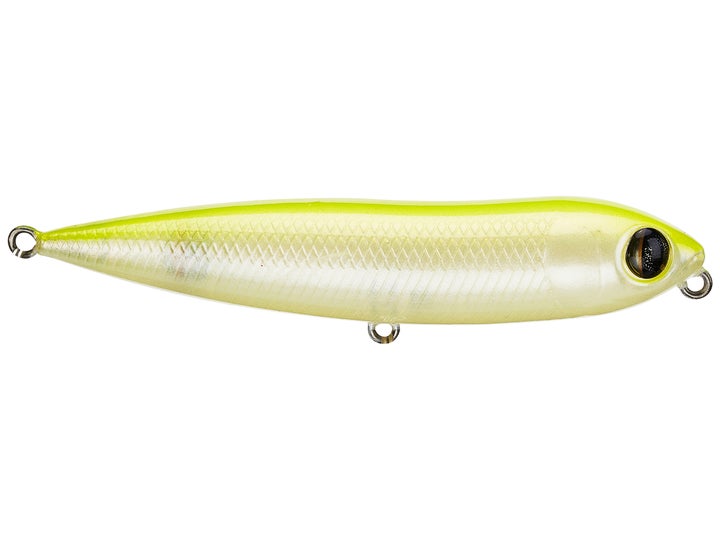 Owner - Tackle Warehouse