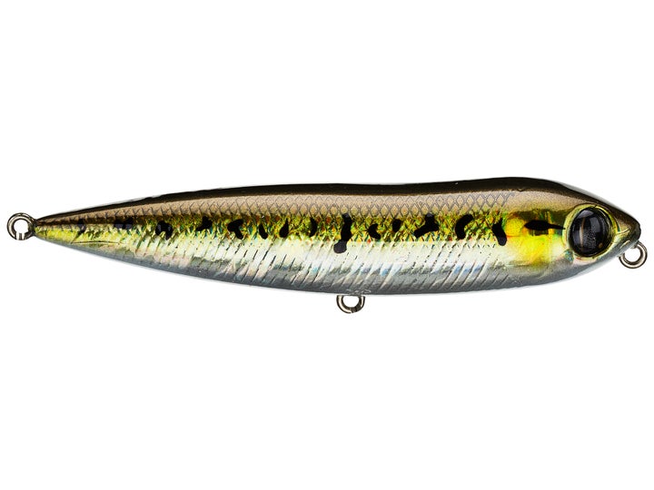 Owner - Tackle Warehouse