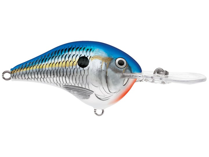 All New Rapala Releases! - Tackle Warehouse