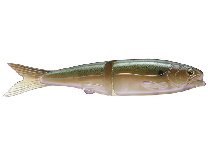 New Tackle Warehouse Exclusives - Tackle Warehouse