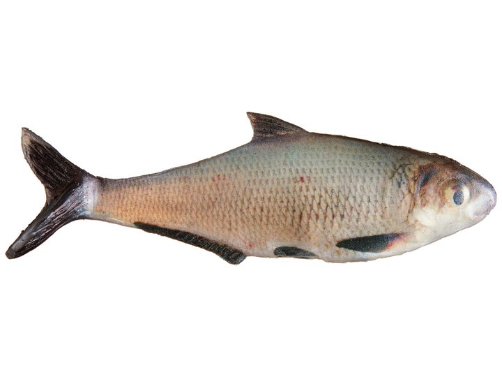 True Bass - Tackle Warehouse