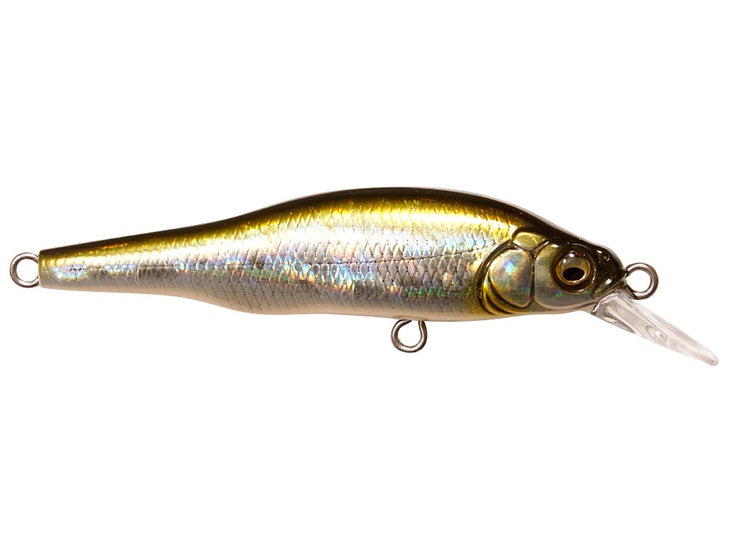 Megabass X-80 Jr. BFS Jerkbait | Tackle Warehouse